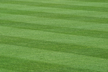 Grass Lawn Texture. Professional landscaping. Baseball outfield ...